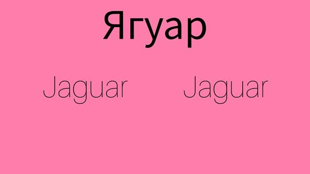 Как же будет по английски слово ЯГУАР?