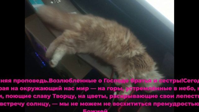 #Господь призывает нас не цепляться за то, что было, и не тревожиться о том, что будет,