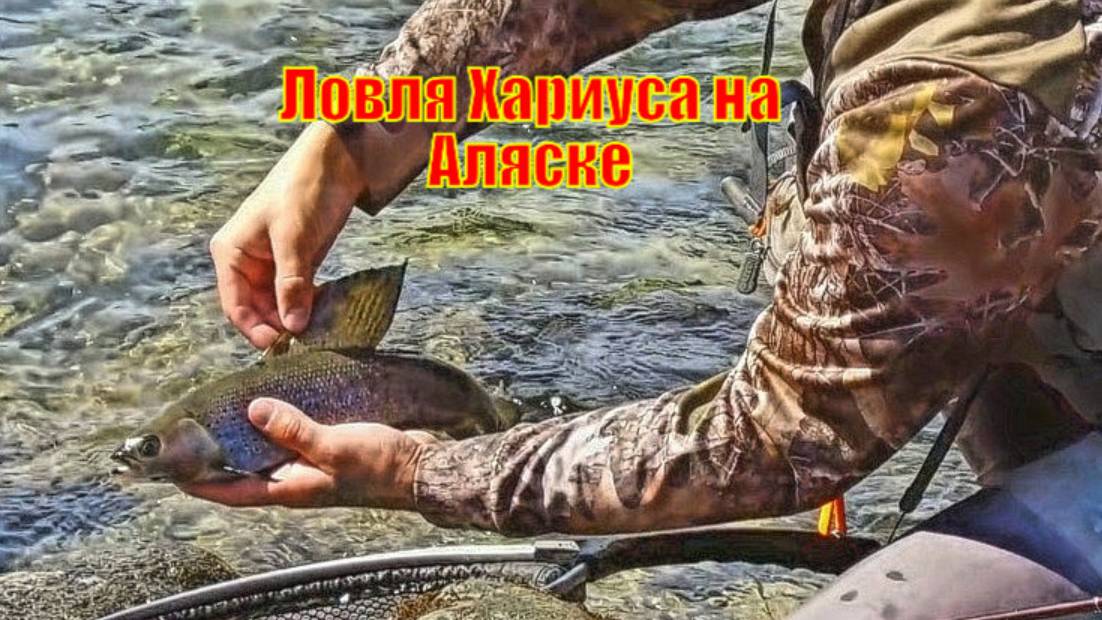 Ловля Хариуса на Аляске. Рай для нахлыстовиков на Земле.