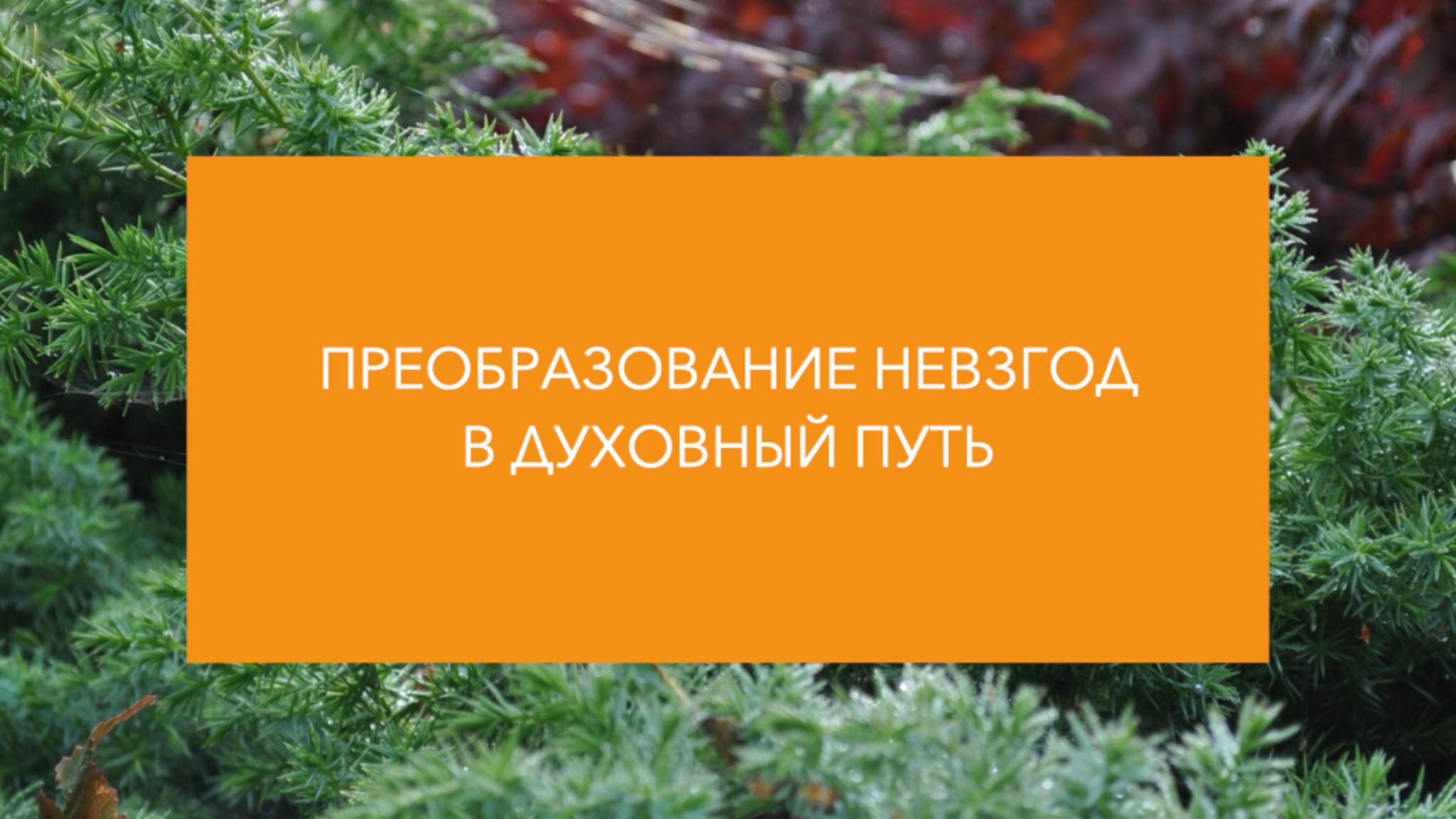 Тибетский буддизм 14: Преобразование невзгод в духовный путь