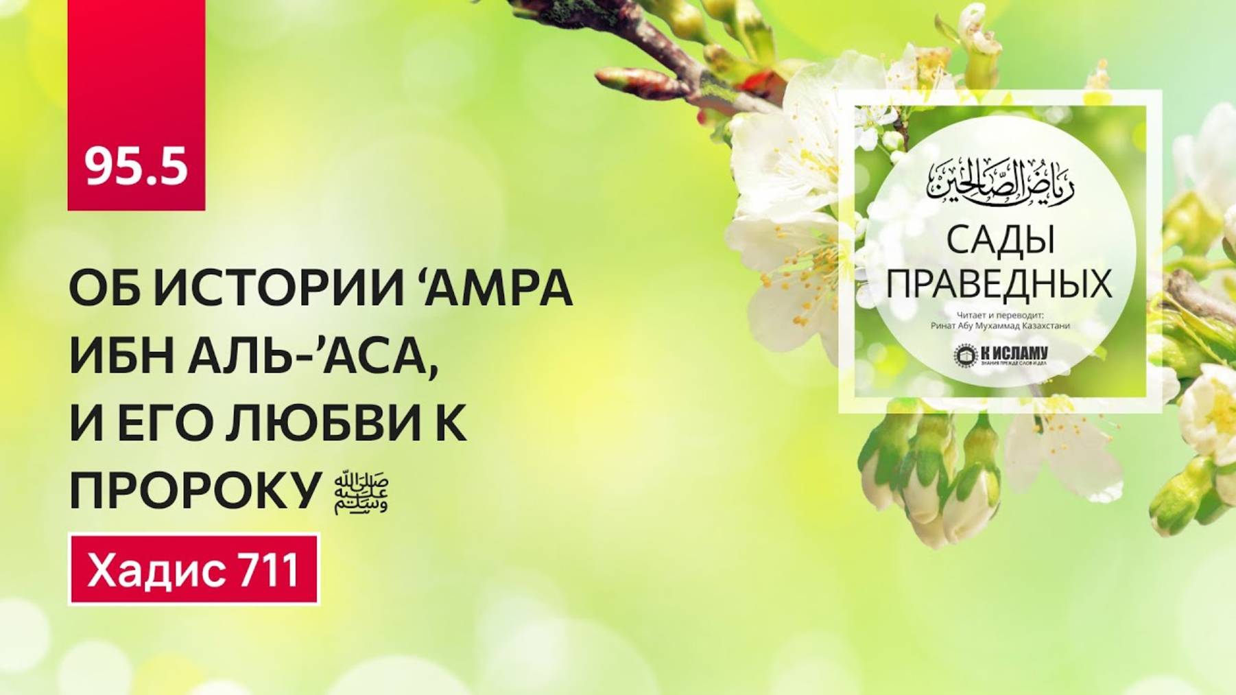 95.5 Сады праведных. Об ИСТОРИИ ‘АМРА ИБН АЛЬ-’АСА И ЕГО ЛЮБВИ К ПРОРОКУ ﷺ. Хадис 711