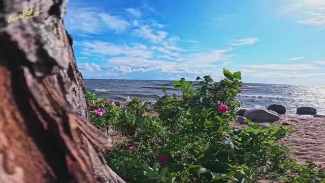 Gulf of Finland