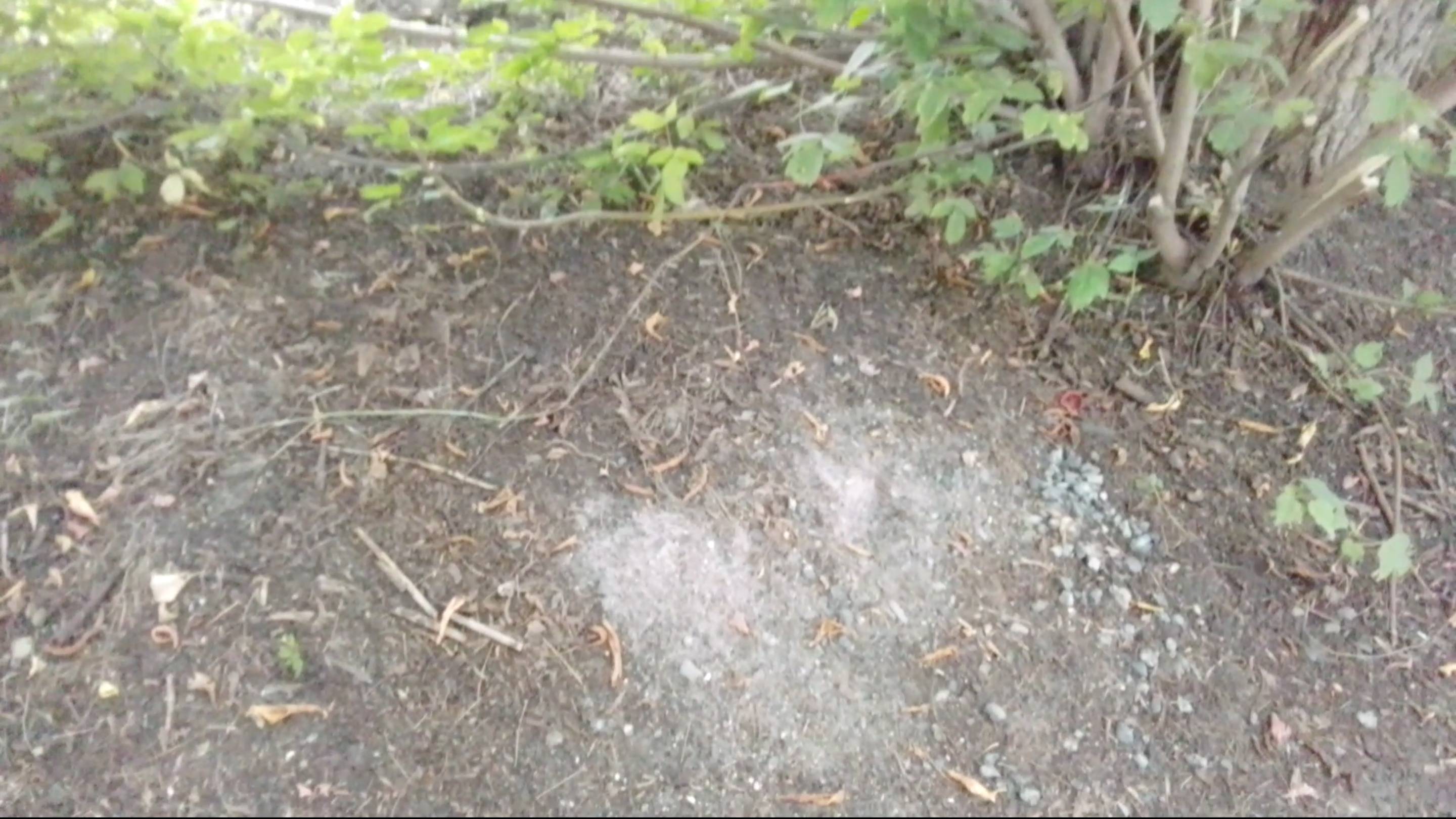 33. 💚 ДЕБЮТ - с.21 ✨️😉✨️👌