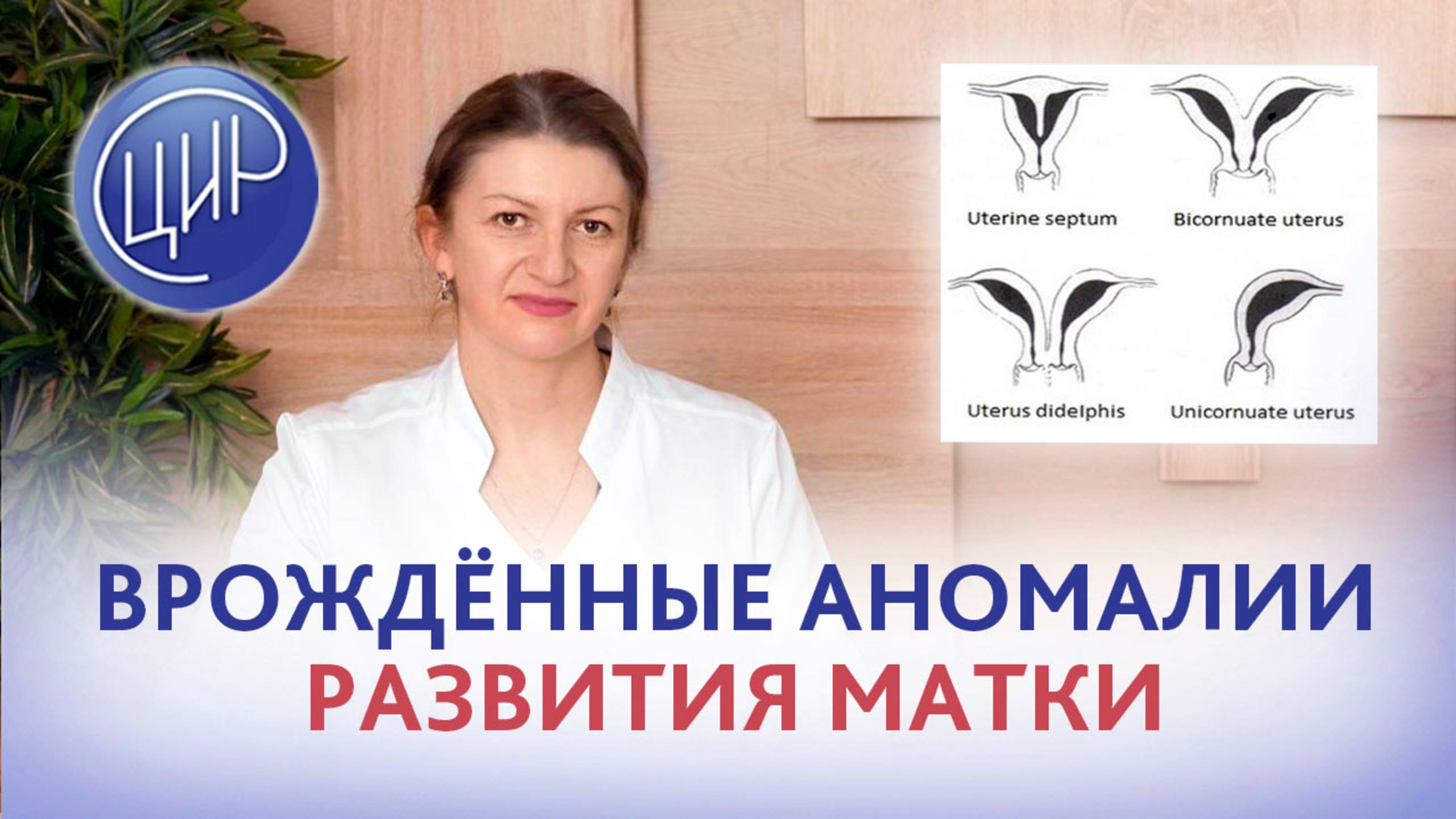 Врождённые аномалии развития матки и бесплодие. Светлана Николаевна Дементьева, акушер-гинеколог ЦИР