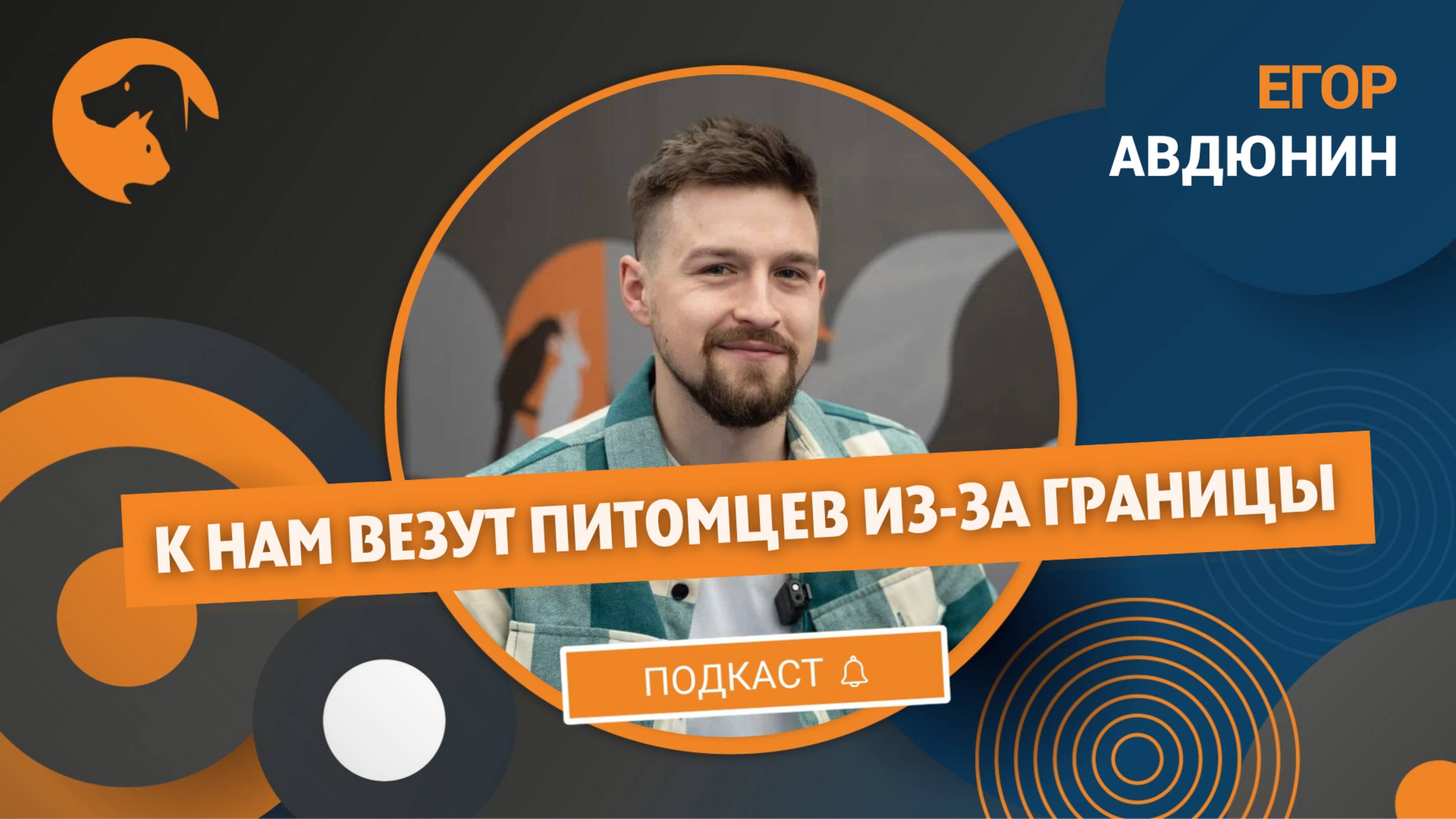 Как совершенствуется сфера ветеринарных услуг
