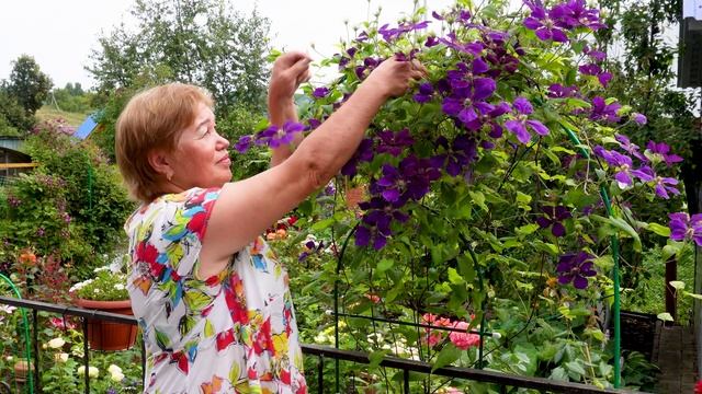 Цветочное увлечение