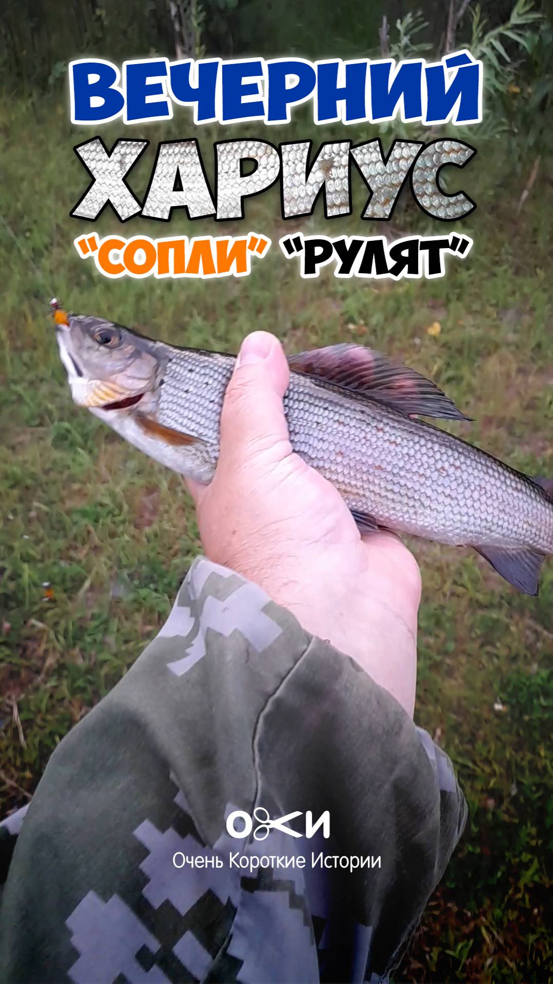 Вечерний хариус. "Сопли" "рулят".