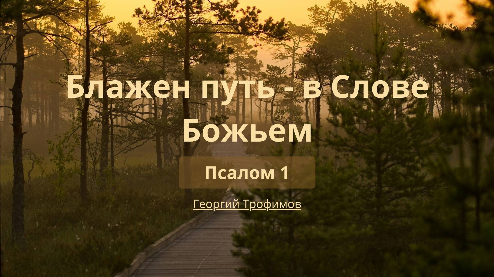 Блажен путь - в Слове Божьем | Псалом 1 | Георгий Трофимов