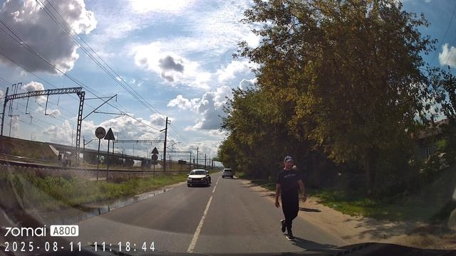 Такой вот участник дорожного движения