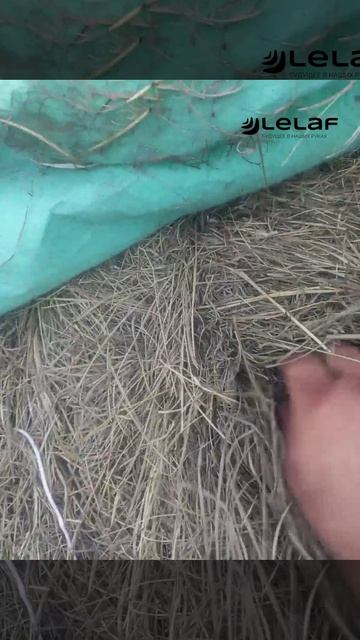 Укрывной тент (флис) для сена типа ЛанБел (LanBel) от Лелаф. Видео из Оренбургской области