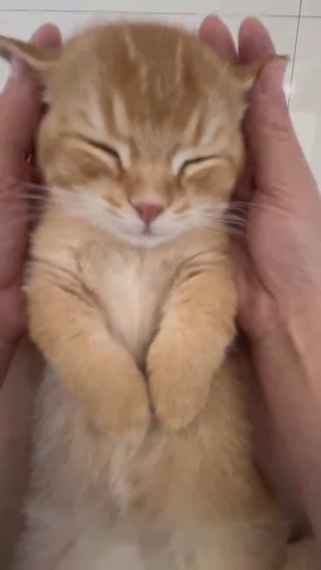СМЕШНЫЕ ВИДЕО 🙂😆