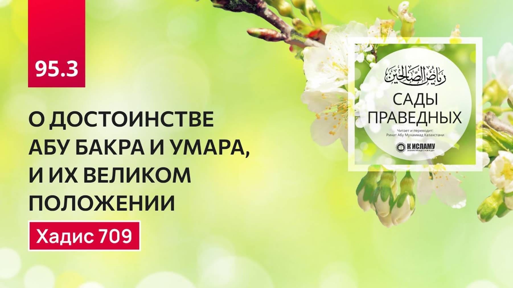 95.3 Сады праведных. О ДОСТОИНСТВЕ АБУ БАКРА И УМАРА, И ИХ ВЕЛИКОМ ПОЛОЖЕНИИ. Хадис 709