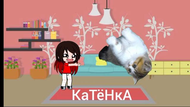 хочу котёнка 🐱