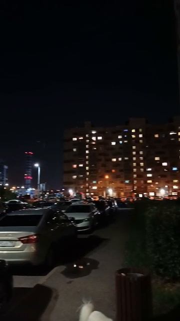 Ночной Питербург