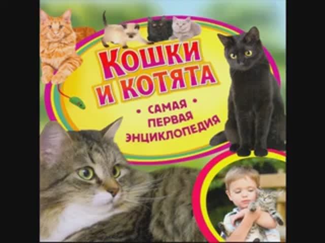 Кошки и котята. Самая первая энциклопедия