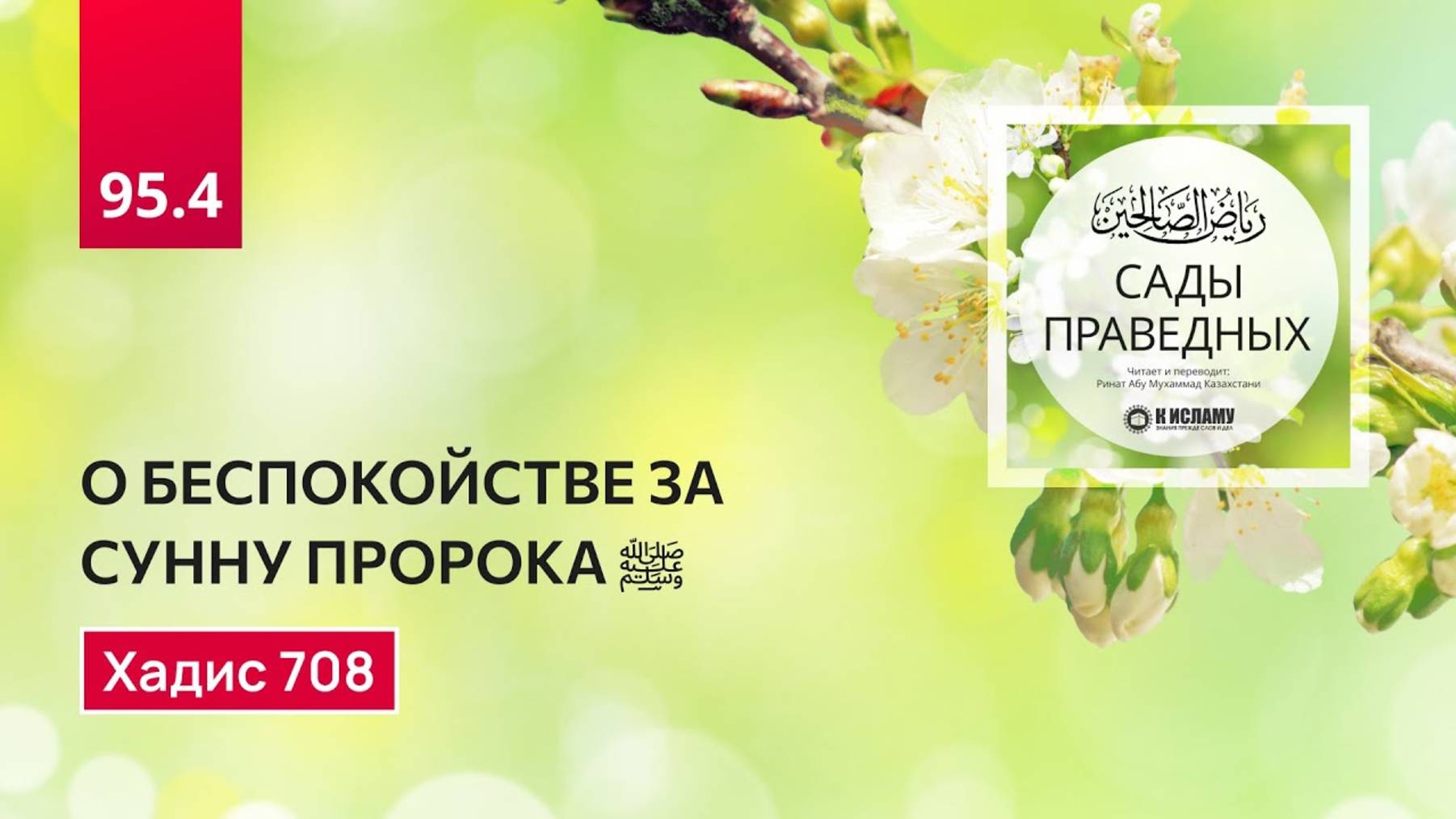 95.4 Сады праведных. О БЕСПОКОЙСТВЕ ЗА СУННУ ПРОРОКА ﷺ. Хадис 710