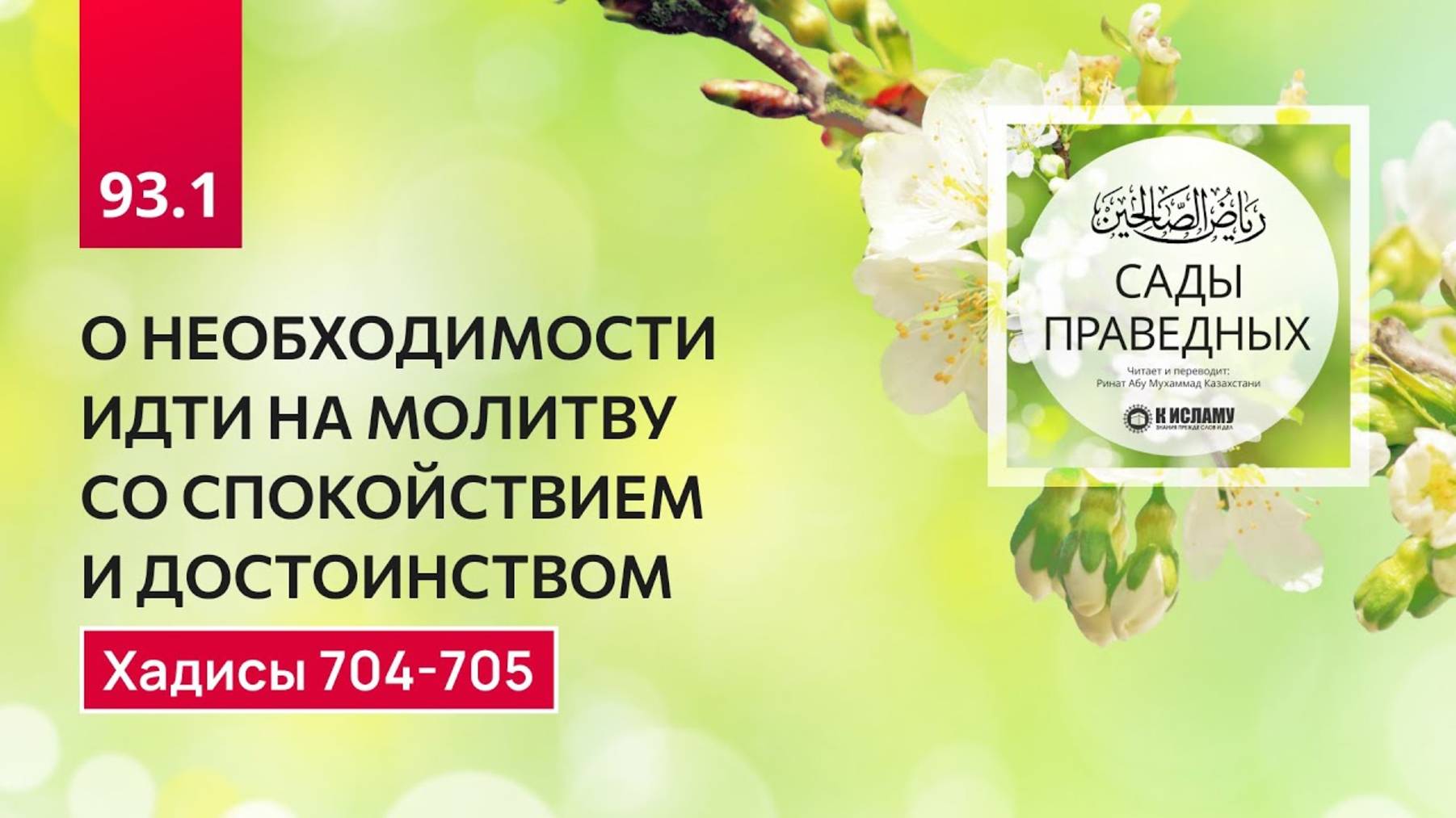 93.1 Сады праведных. О НЕОБХОДИМОСТИ ИДТИ НА МОЛИТВУ СО СПОКОЙСТВИЕМ И ДОСТОИНСТВОМ. Хадисы 704-705