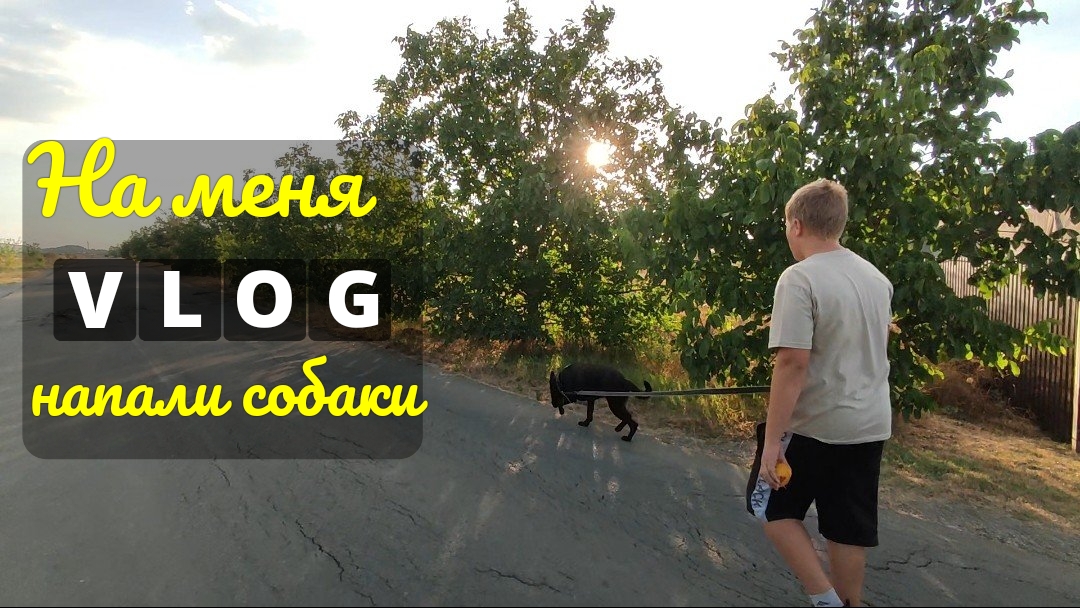 Переезд на юг 🌞Будни Ильского🏘 На меня напали собаки🐶