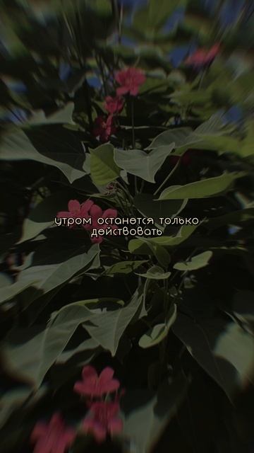 Сомнения замедляют. Решения — ускоряют.