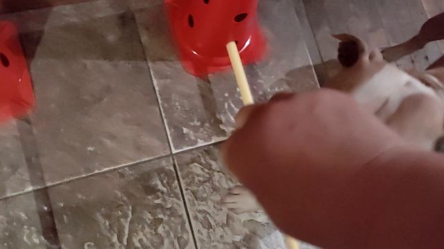 Tcenniy Prize Idillia , знакомство с кавалетти.