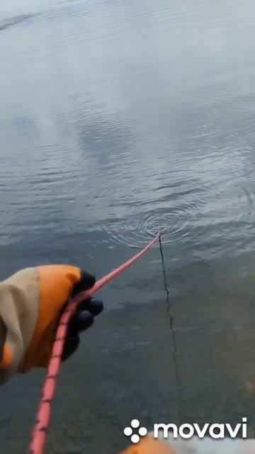 порыбачил на магнит