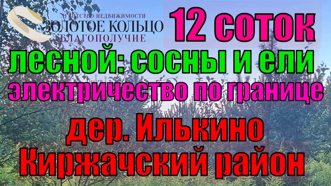 Живописный участок в сосновом бору дер. Илькино Киржачский р-н Владимирской обл.