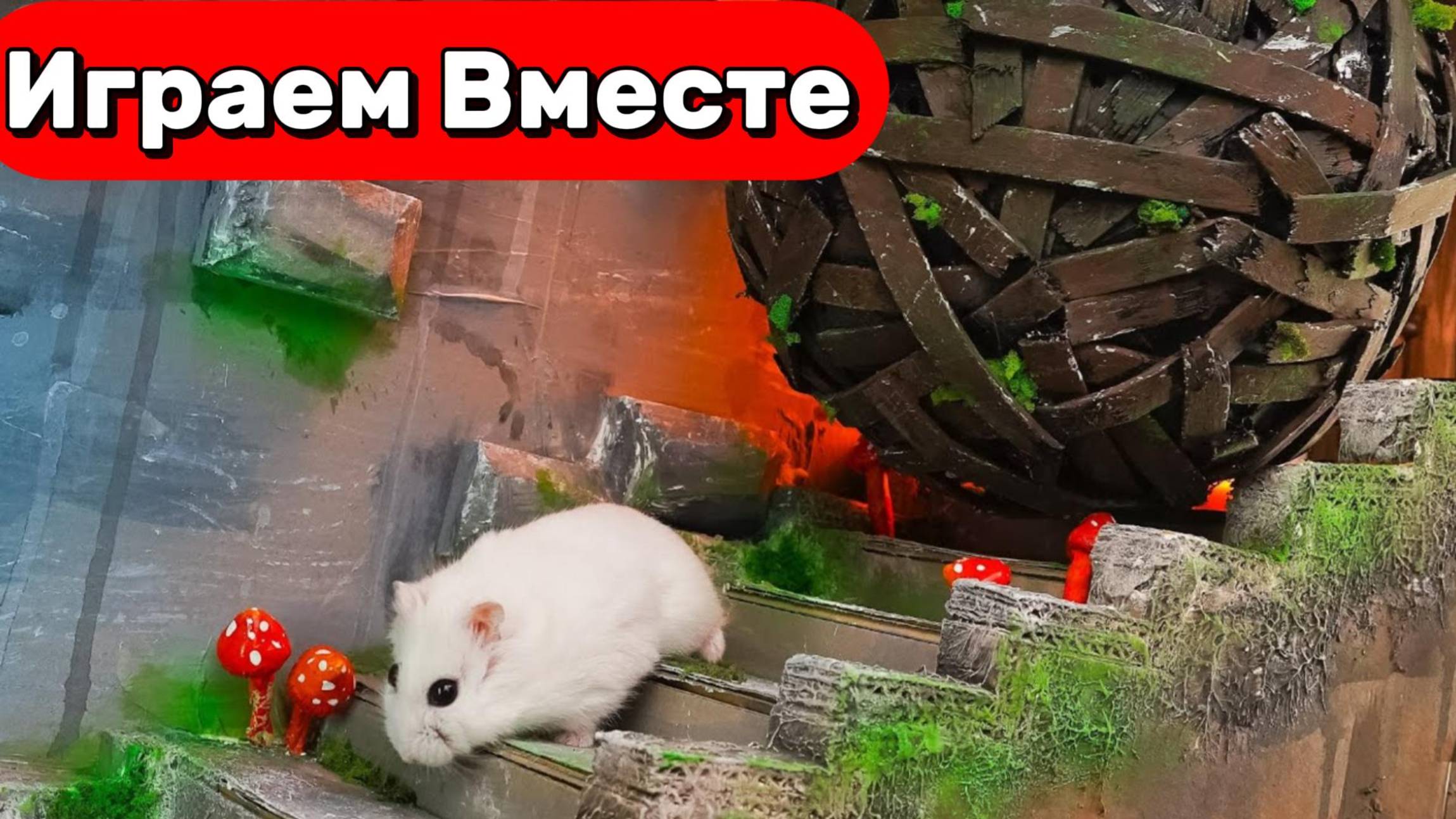 ЛУЧШИЕ ИСПЫТАНИЯ ДЛЯ УМНОГО ХОМЯКА 🐹 ТОП ПОДБОРКА ЛАБИРИНТОВ С МОНСТАРМИ И ЛОВУШКАМИ ДЛЯ ДЕТЕЙ
