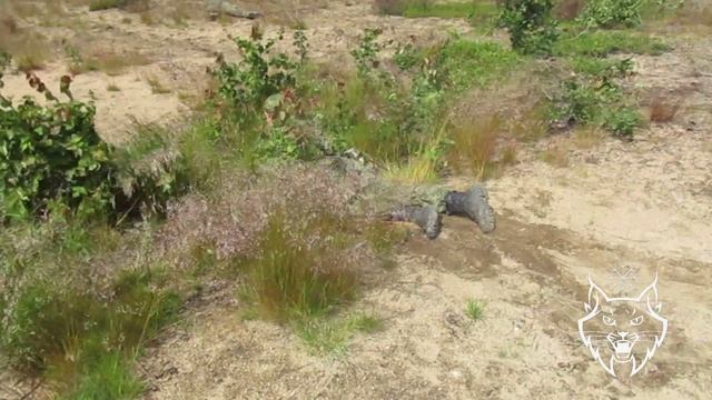 Один рабочий день