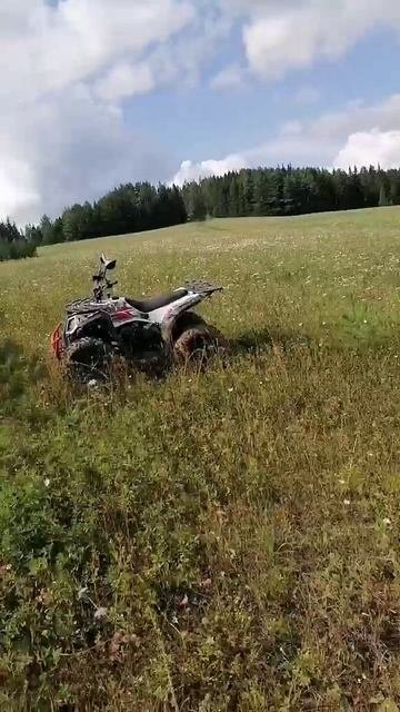 Мопеды сериал | Серия 1604