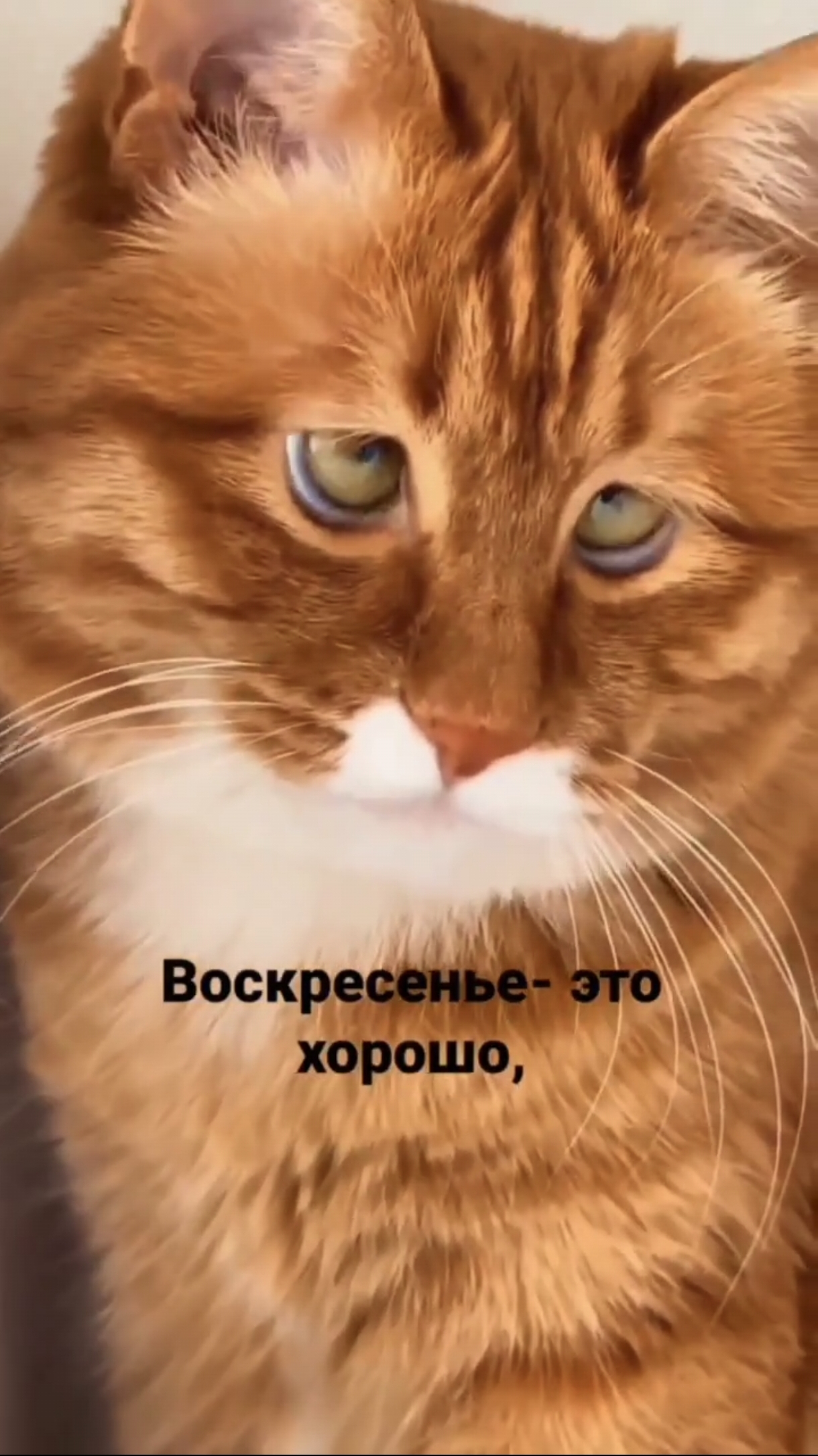 Воскресенье - это хорошо