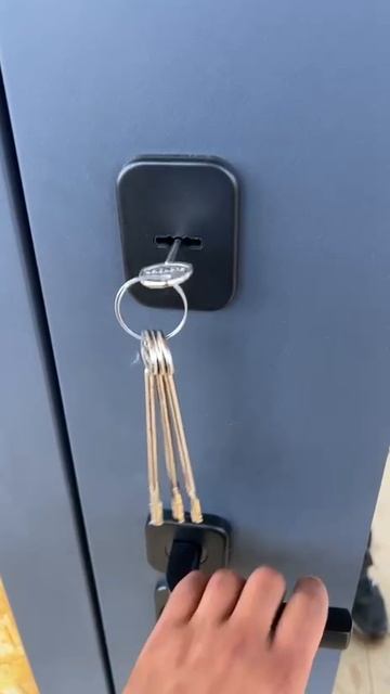 Обзор двери «Фортис TD»