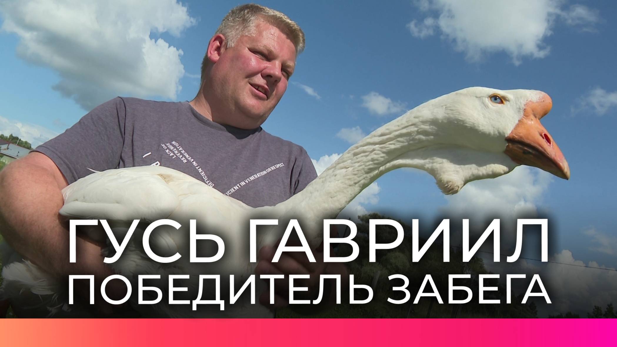 Съёмочная группа НТ познакомилась с гусем Гавриилом из Старорусского округа