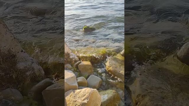 Медитативная световая практика на гармонию, умиротворение, наполнение силой.