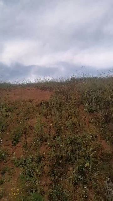 Мопеды сериал | Серия 1605