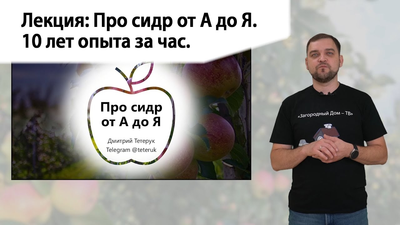 Про сидр от А до Я