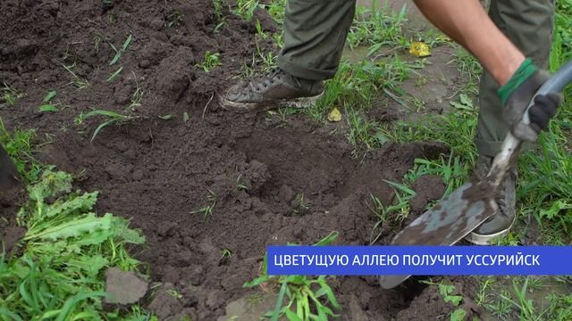 «Живём в Приморье» — выпуск № 11