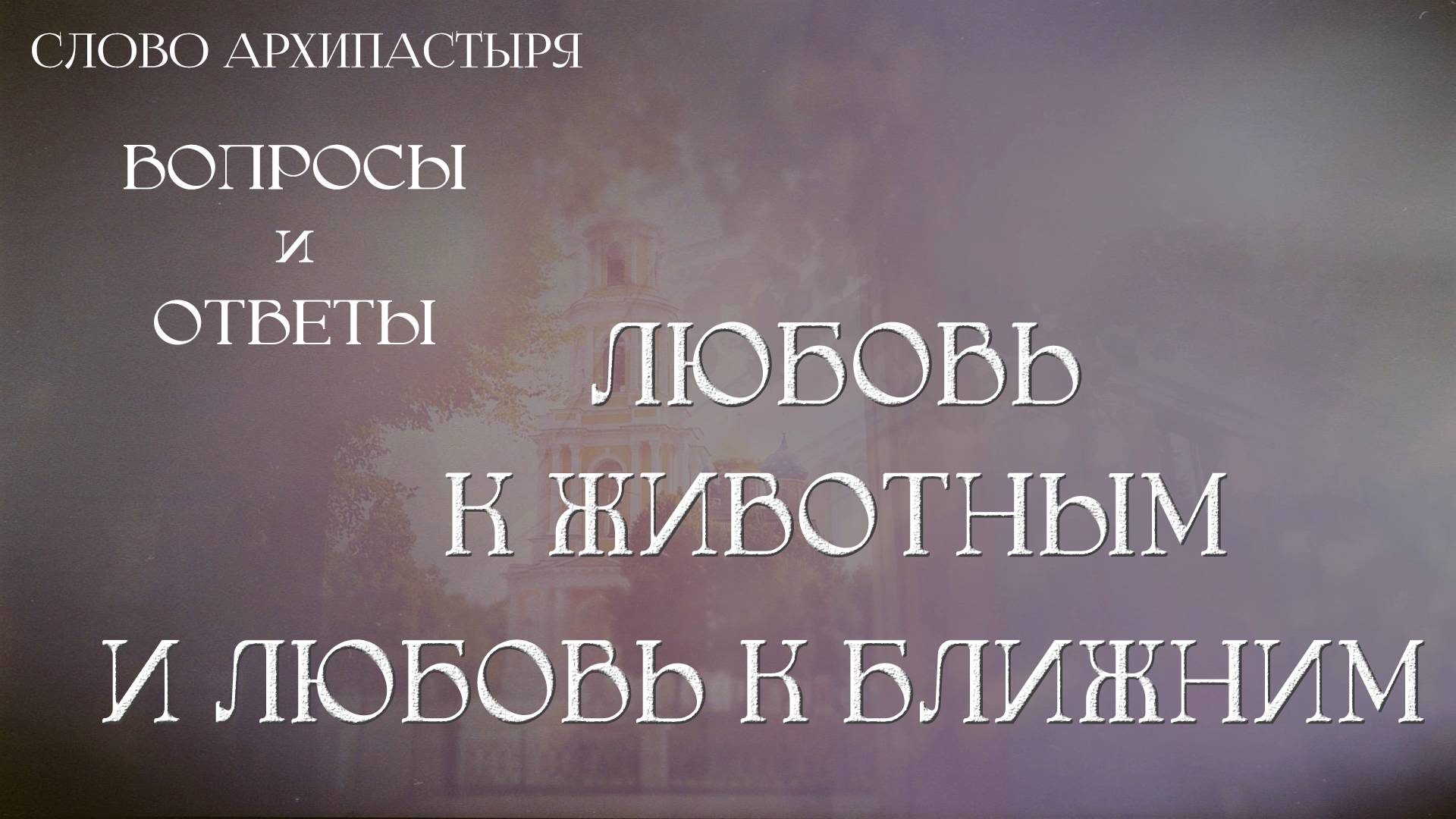 Слово Архипастыря. Вопросы и ответы: Любовь к животным и любовь к ближним
