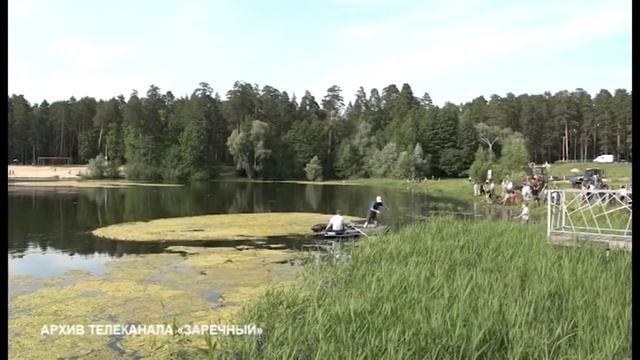 Лесной пруд Заречного практически очистился от водорослей