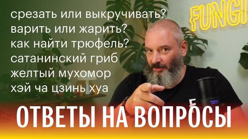 Отвечаю на ваши вопросы о грибах.