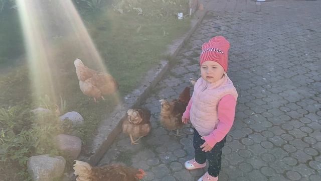 Ника