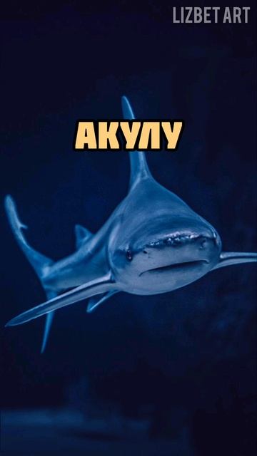 Рисую несуществующее животное 🐜+🦈=❓(ч.102) #tiktok #shorts #art #gouach