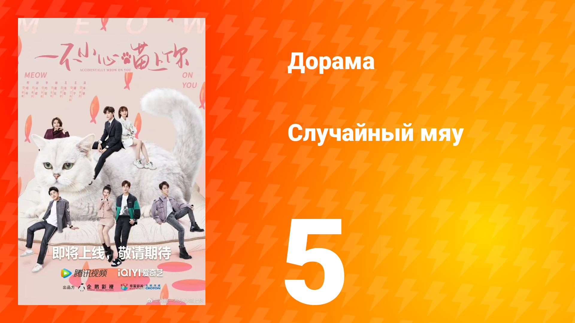 Случайный мяу 1 сезон 5 серия