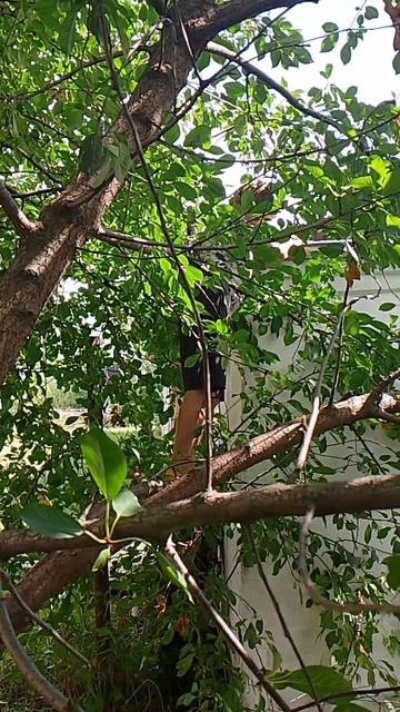 подъём на гараж.mp4