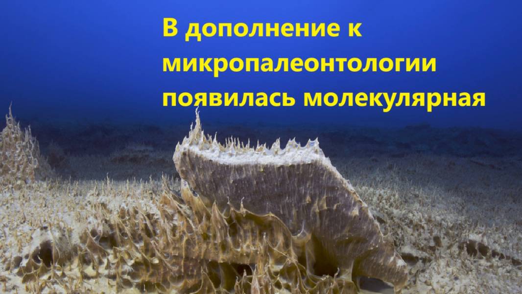В дополнение к микропалеонтологии появилась молекулярная