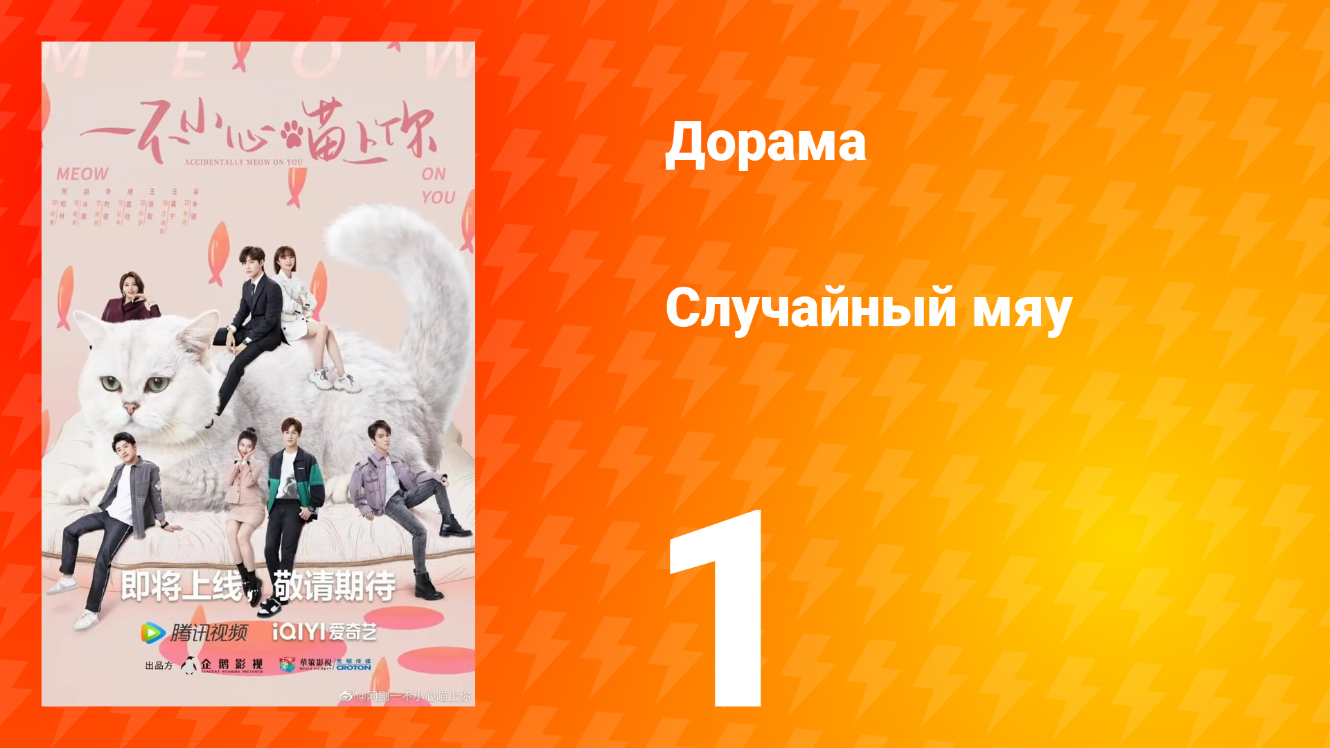 Случайный мяу 1 сезон 1 серия