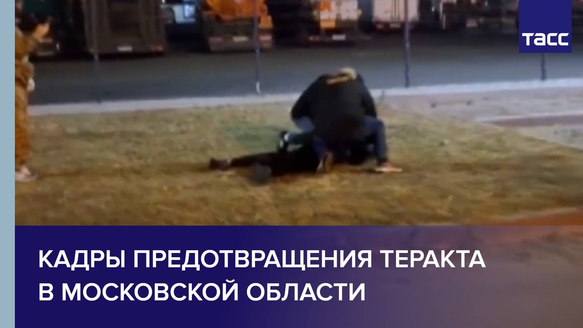 Кадры предотвращения теракта в Московской области