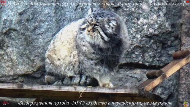 Увлекательный и познавательный экскурс в Московский зоопарк и Океанариум на ВДНХ
