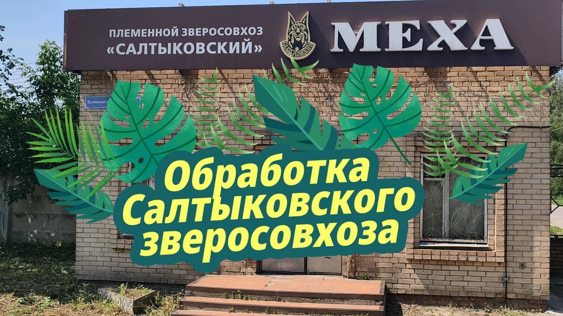 Успешная обработка Салтыковского зверосовхоза от блох