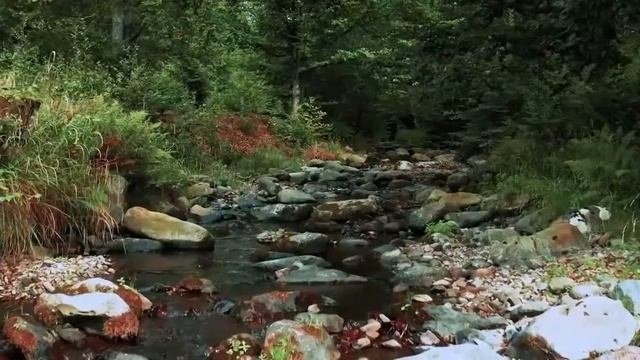 КРАСИВАЯ РАССЛАБЛЯЮЩАЯ МУЗЫКА ДЛЯ ДУШИ УСПОКАИВАЮЩАЯ МУЗЫКА ДЛЯ СНА