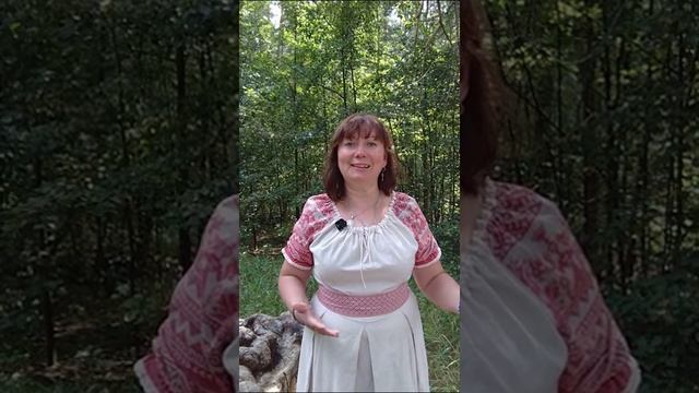 Татьяна Волгина - Проводник